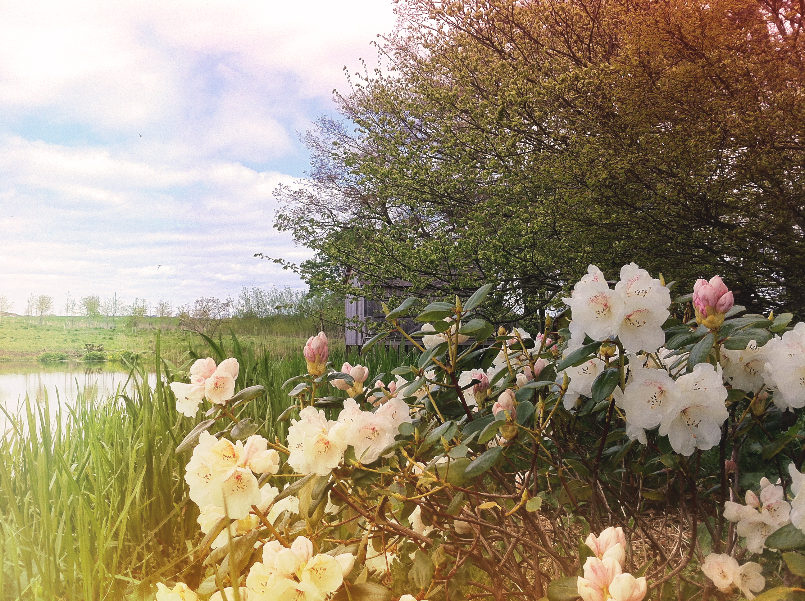 Visiter - French Kilt